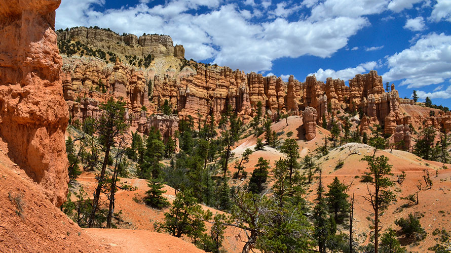 Top Trails of Southern Utah | Wildland Trekking Blog