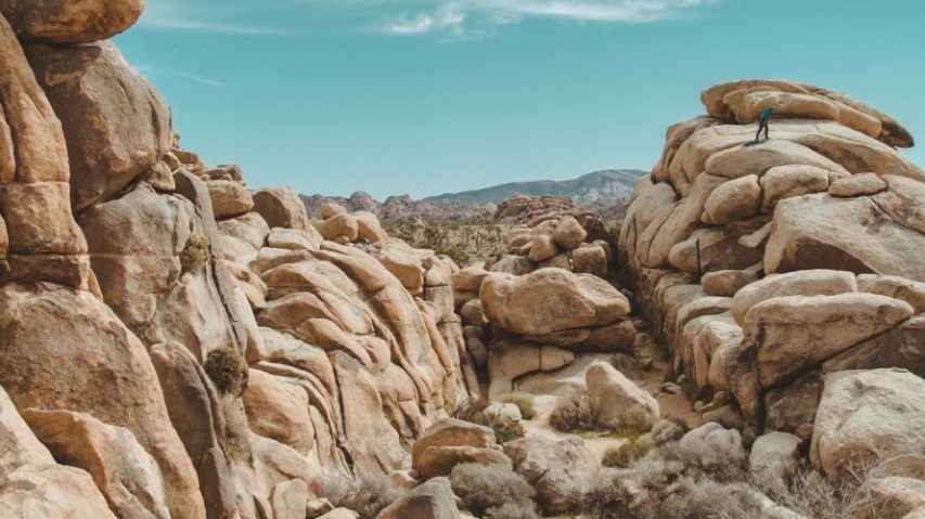 Origins of a Mystery: Joshua Tree's Rock Formations | Wildland Trekking