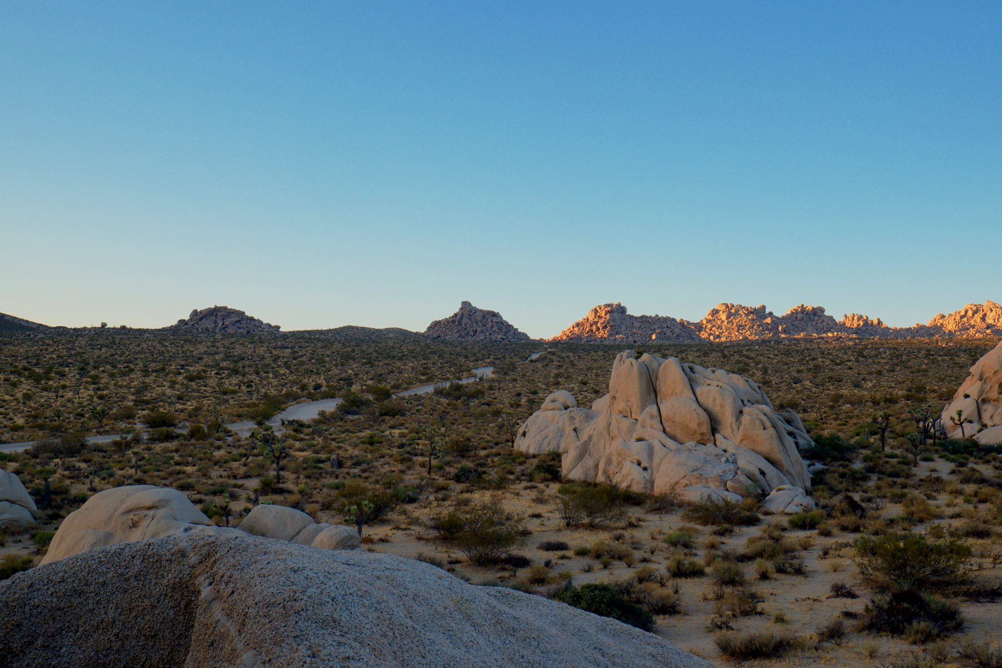 Origins of a Mystery: Joshua Tree's Rock Formations | Wildland Trekking