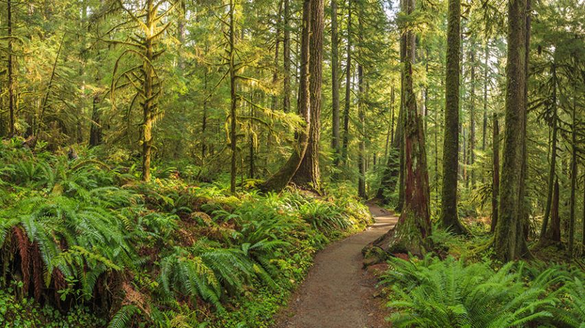 Off-the-beaten-path hikes in the Western USA | Wildland Trekking Blog