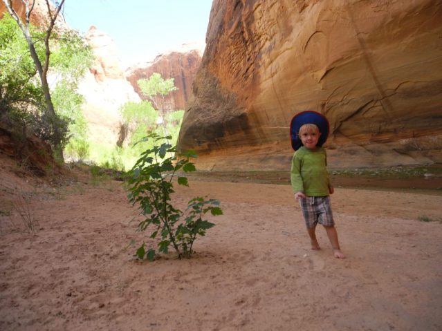 5 Hiking Destinations that are Great With Kids | Wildland Trekking Blog