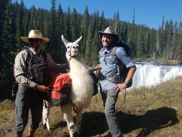 5 Reasons to do a Llama Trek | Wildland Trekking Blog
