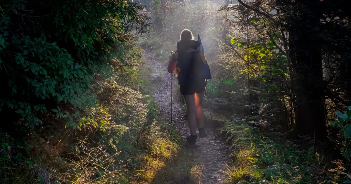 What To Pack On Your Backpacking Trip | Wildland Trekking Blog