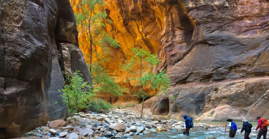 WILD: a Hiking, Adventure, and Travel Blog | Wildland Trekking