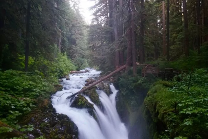 Olympic Sol Duc River Trail Information | Hiking Trails Guide