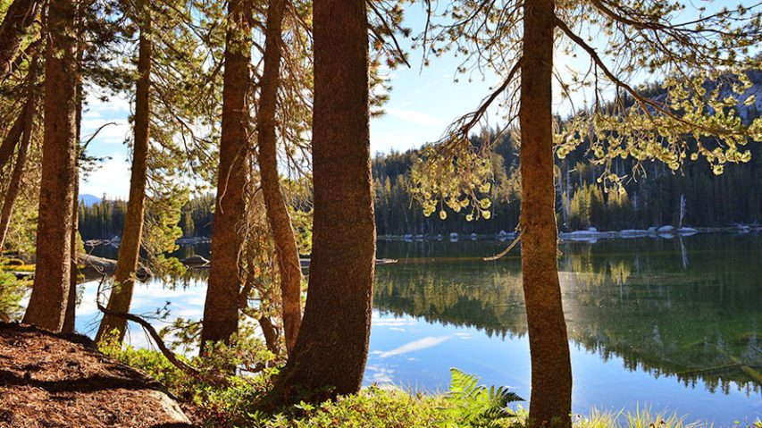 10 Lakes Basin Yosemite Backpacking Trip | Wildland Trekking