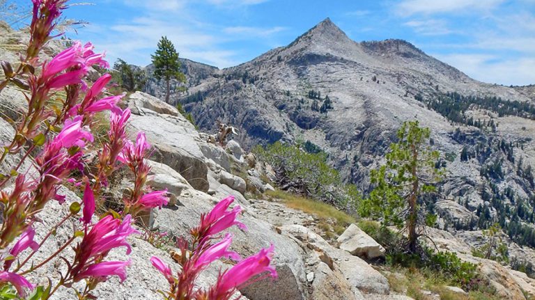 10 Lakes Basin Yosemite Backpacking Trip | Wildland Trekking