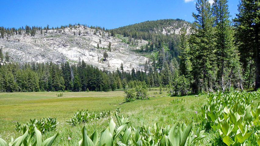 10 Lakes Basin Yosemite Backpacking Trip | Wildland Trekking