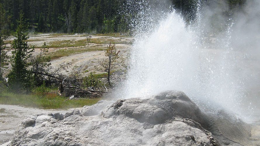 Bechler River Yellowstone Llama Trek | Wildland Trekking