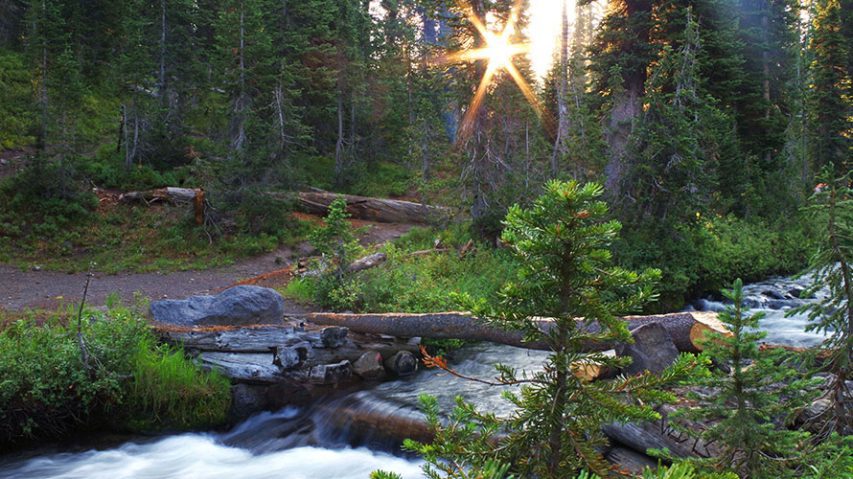 Bechler River Backpacking Trip Yellowstone | Wildland Trekking