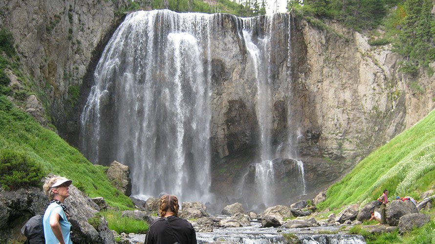 Bechler River Yellowstone Llama Trek | Wildland Trekking
