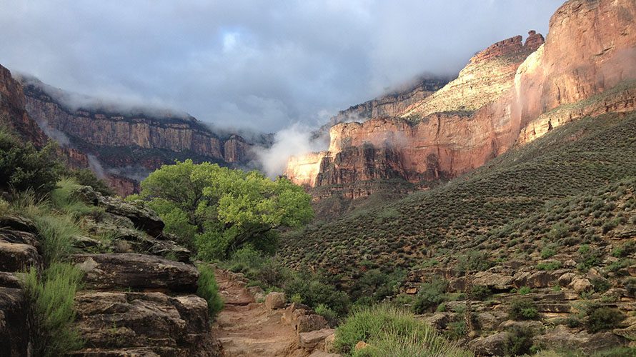 Bright Angel Trail Day Hike Tour | Wildland Trekking