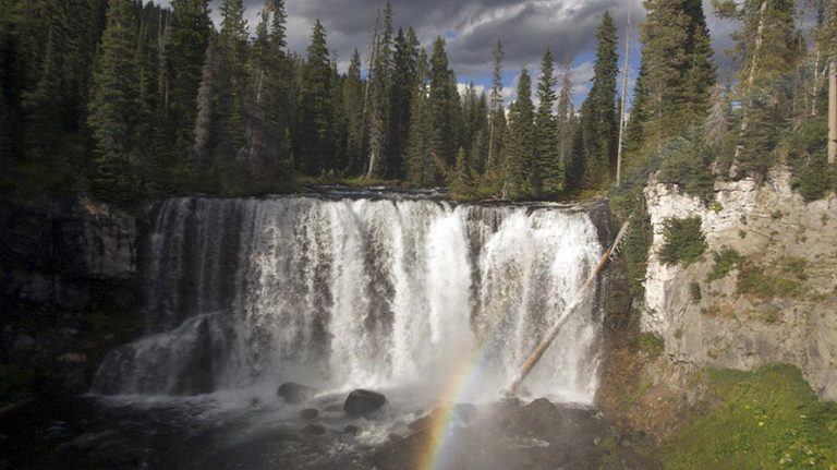 Dunanda Falls Yellowstone Llama Trek | Wildland Trekking