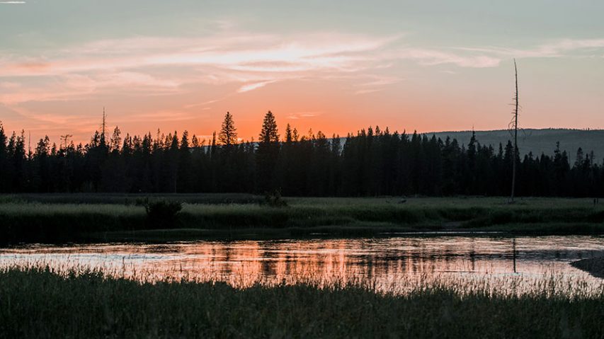 Dunanda Falls Yellowstone Llama Trek | Wildland Trekking