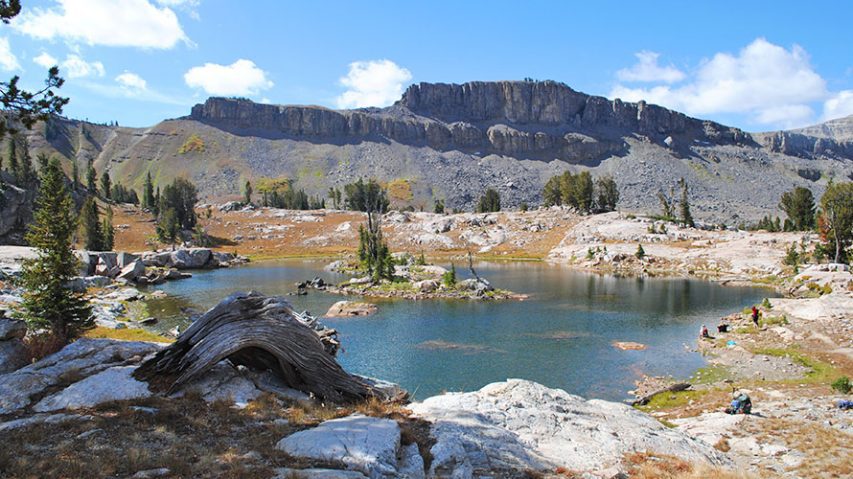 Granite Basin Tetons Llama Trek | Wildland Trekking