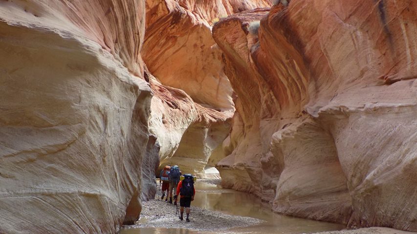 Paria Canyon Backpacking Treks & Tours | Wildland Trekking
