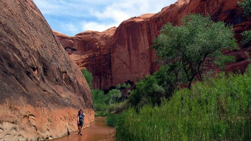 Coyote Gulch Backpacking Tour Wildland Trekking
