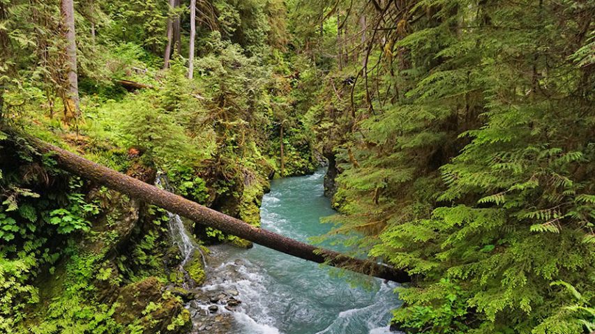 Enchanted Valley Backpacking Tour | Wildland Trekking
