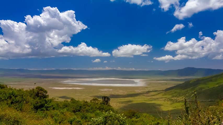 Wild Africa Safari and Cultural Tour | Wildland Trekking