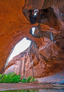 Golden Cathedral Utah Backpacking Trip | Wildland Trekking