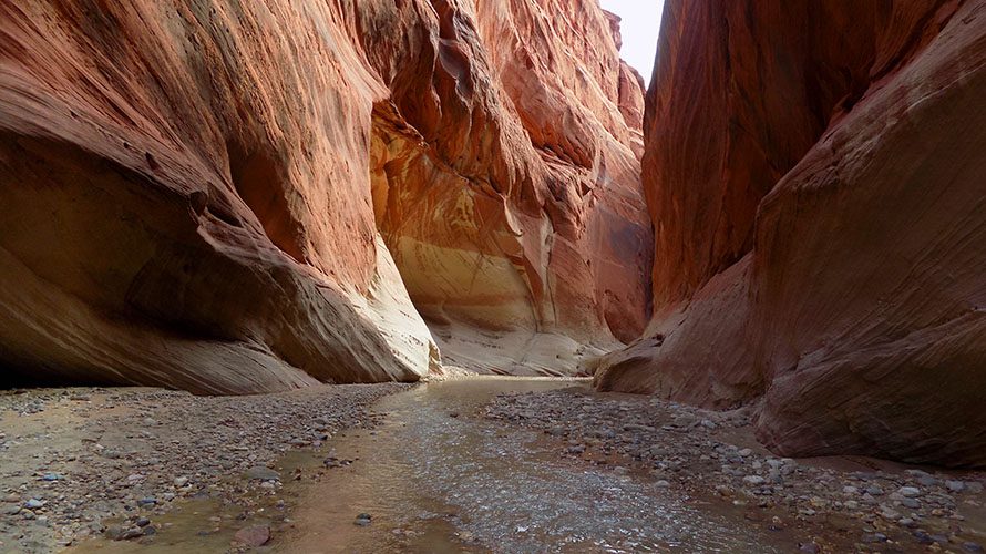 Guided Paria Canyon Backpacking Trip | Wildland Trekking