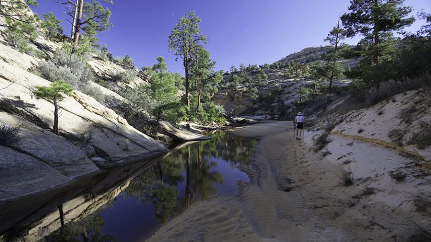 Boulder Mail Trail Hike | Death Hollow & Escalante River Traverse