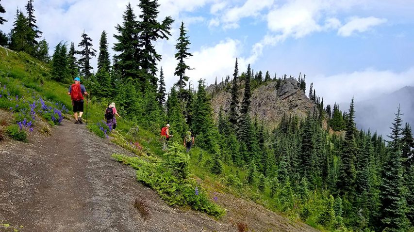 Mount Rainier Hiking Tours & Hiking Vacations | Wildland Trekking