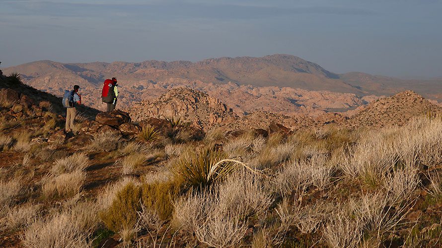 Joshua Tree Backpacking Tour | Wildland Trekking