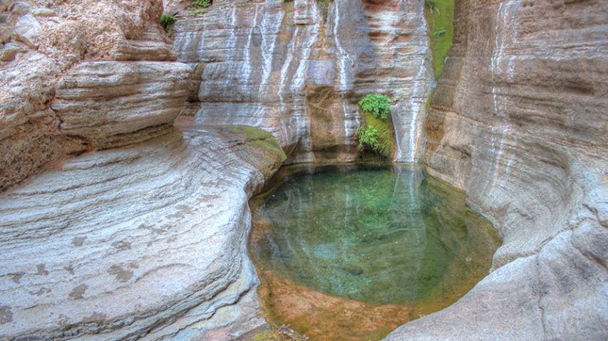 Kanab Creek Adventure Backpacking Tour | Wildland Trekking