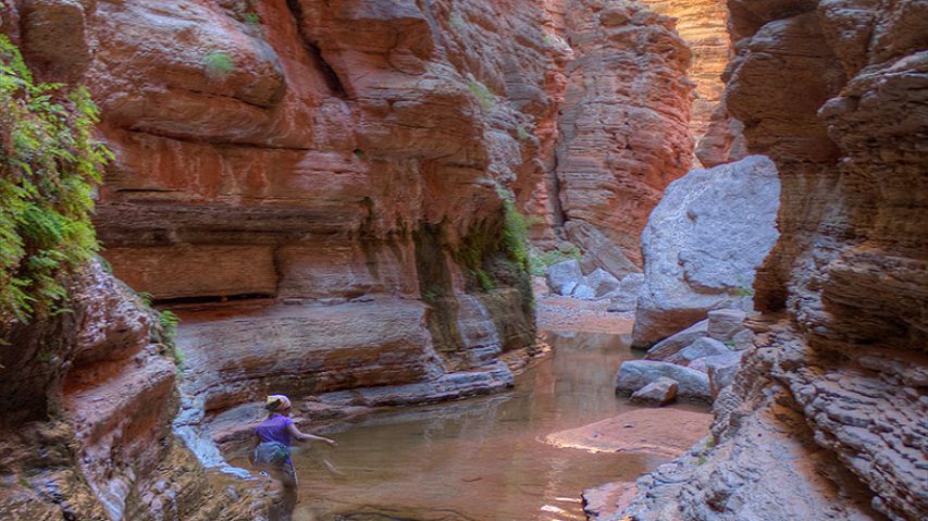 Kanab Creek Adventure Backpacking Tour | Wildland Trekking