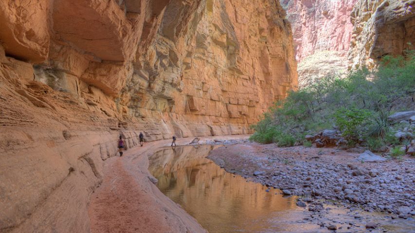 Kanab Creek Adventure Backpacking Tour | Wildland Trekking