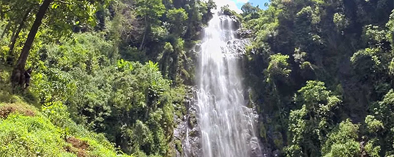 Guided Kilimanjaro Trek | Kilimanjaro Hiking Tour | Wildland Trekking