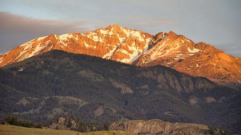 Bechler River Yellowstone Llama Trek | Wildland Trekking