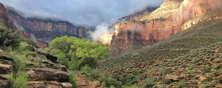 Phantom Ranch Hiking Tour in the Grand Canyon | Wildland Trekking
