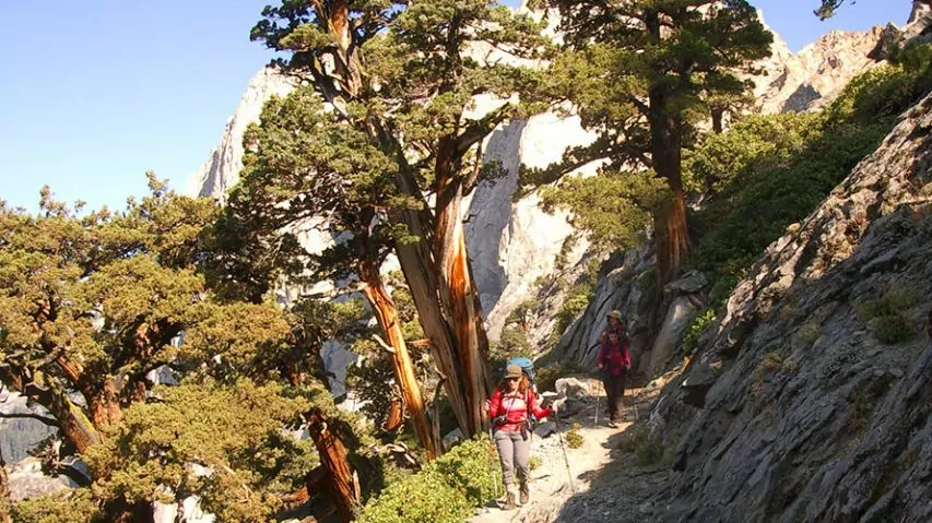 Rae Lakes Backpacking Trip in Sequoia-Kings Canyon | Wildland Trekking