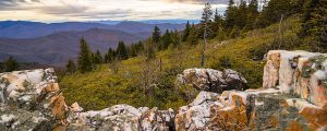 Shining Rock Wilderness - Wildland Trekking