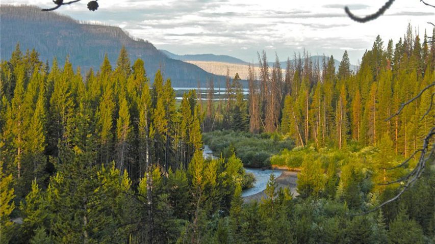 Thorofare Backpacking Trip in Yellowstone | Wildland Trekking