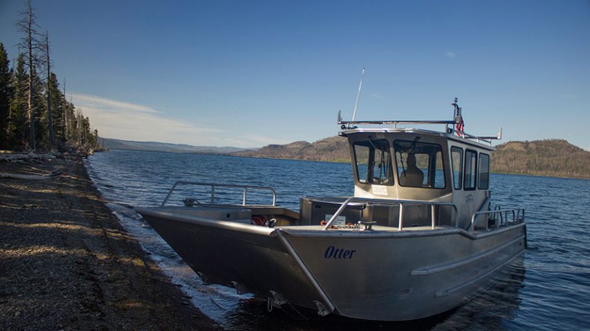 Thorofare Backpacking Trip in Yellowstone | Wildland Trekking