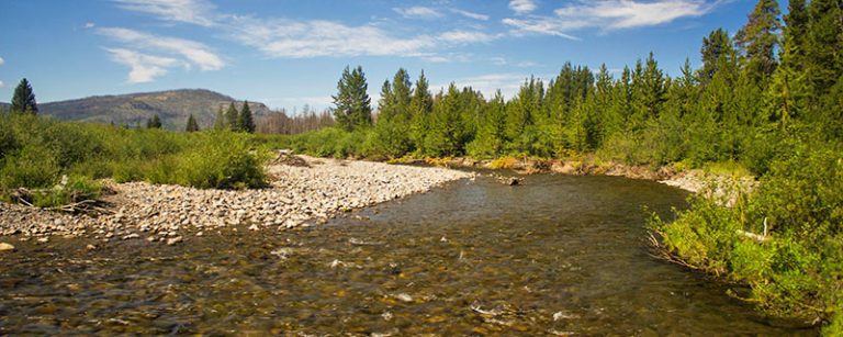 Thorofare Backpacking Trip in Yellowstone | Wildland Trekking