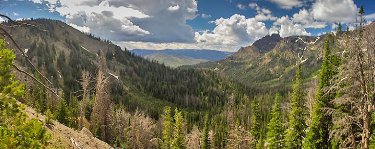 Thorofare Backpacking Trip in Yellowstone | Wildland Trekking