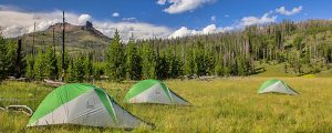 Thorofare Backpacking Trip in Yellowstone | Wildland Trekking