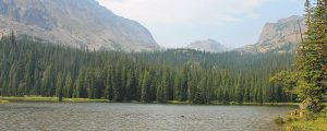 Wild Basin Trail in Rocky Mountain National Park | Hiking Trails Guide