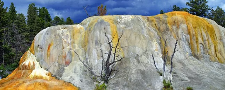 Best of Yellowstone Tour - Wildland Trekking