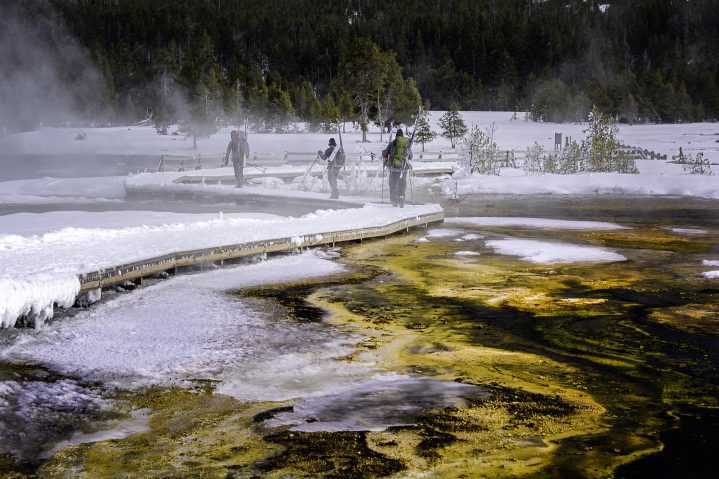 Yellowstone Winter Vacation | Wildland Trekking Blog