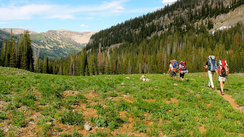 Jackson Hole Hiking Treks & Tours | Wildland Trekking