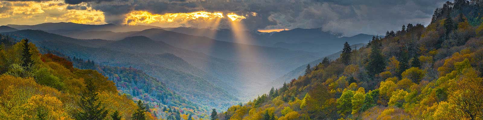 Weather Forecasts - Wildland Trekking