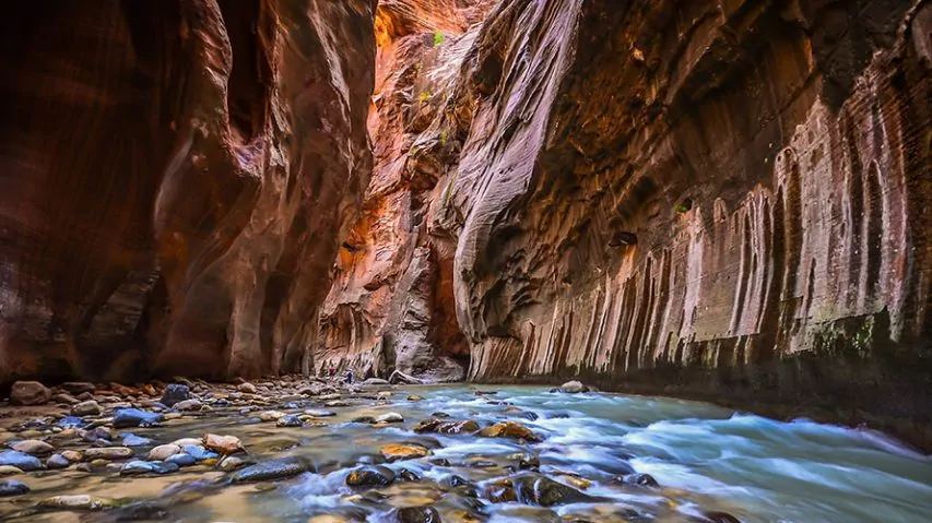 Zion Virgin River Narrows Day Hike Tour | Wildland Trekking