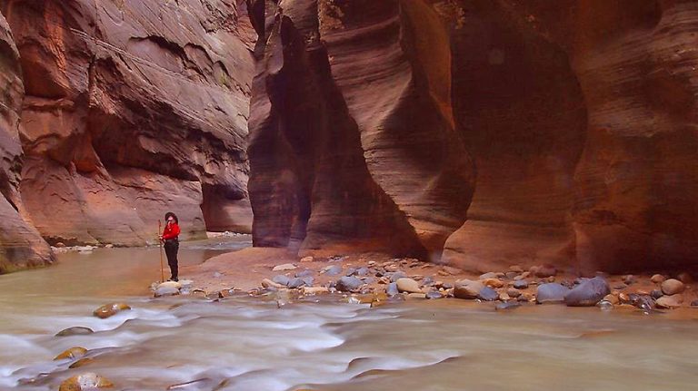 Zion Virgin River Narrows Day Hike Tour | Wildland Trekking