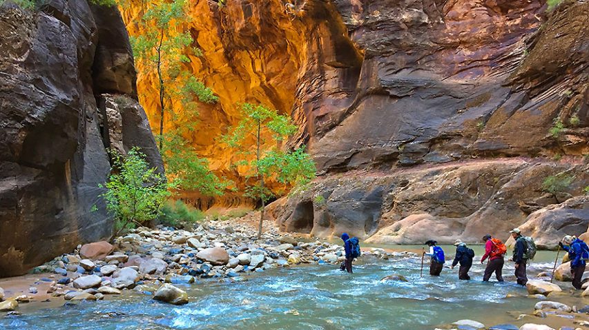 Zion Virgin River Narrows Day Hike Tour | Wildland Trekking