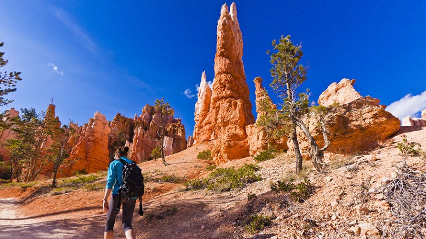 Explore Zion, Bryce and Grand Staircase-Escalante with Wildland Trekking